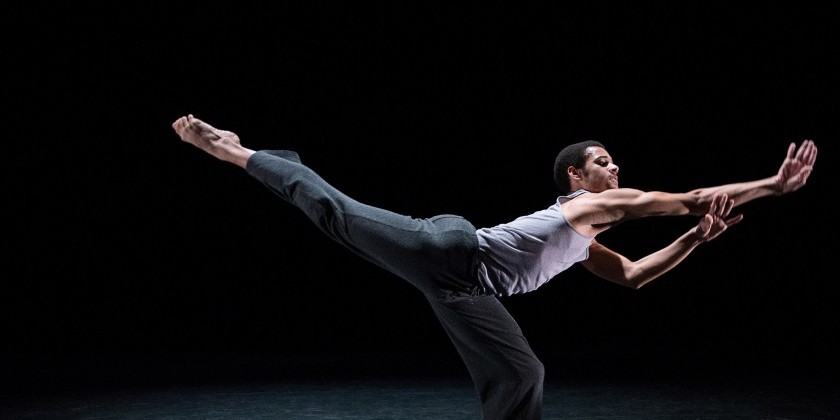 Purchase Dance Company's Fall 2023 Concert | The Dance Enthusiast Purchase Dance Company's Fall 2023 Concert | The Dance Enthusiast