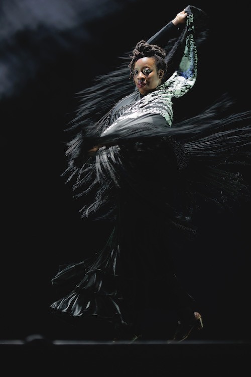 THE DANCE ENTHUSIAST ASKS: Lynn Parkerson on the Origins of the ...