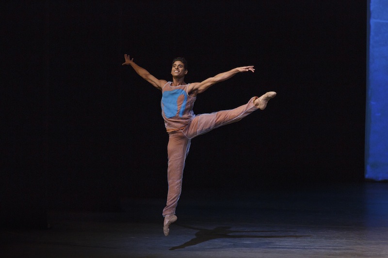 NYCB Principal Amar Ramasar | The Dance Enthusiast