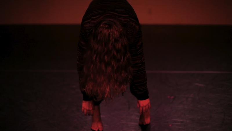 IMPRESSIONS OF: Laurel Snyder & Carlton Cyrus Ward | The Dance Enthusiast