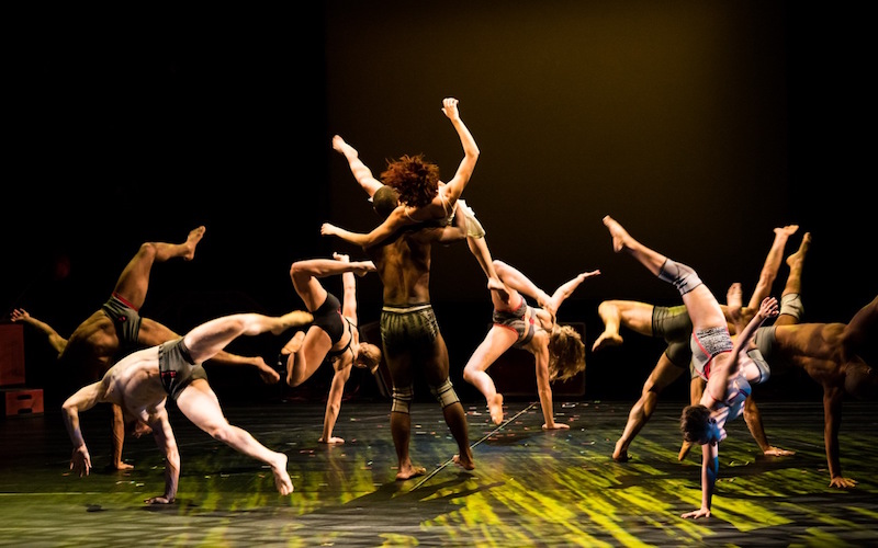 IMPRESSIONS OF: Pilobolus in "Shadowland" | The Dance Enthusiast