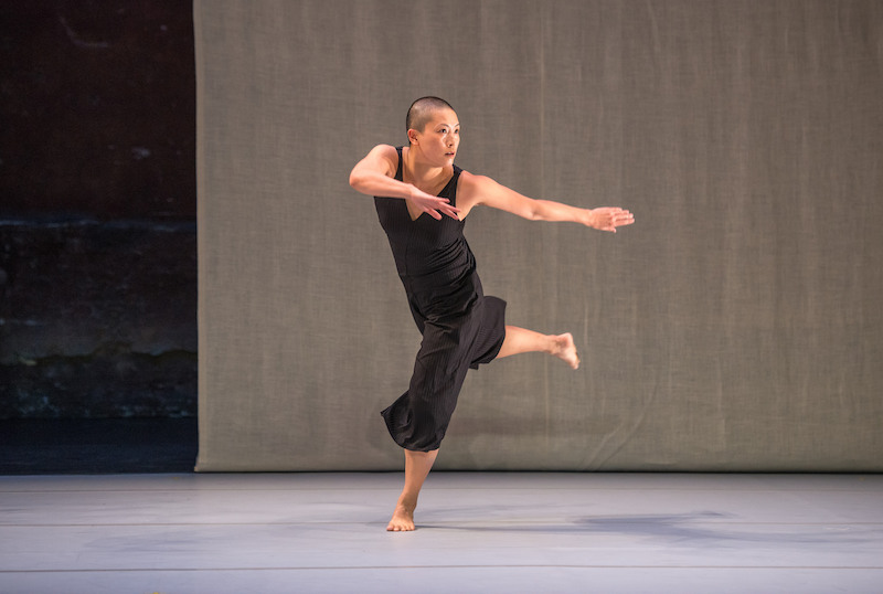 Impressions of Reggie Wilson/Fist & Heel Performance Group's "Citizen ...