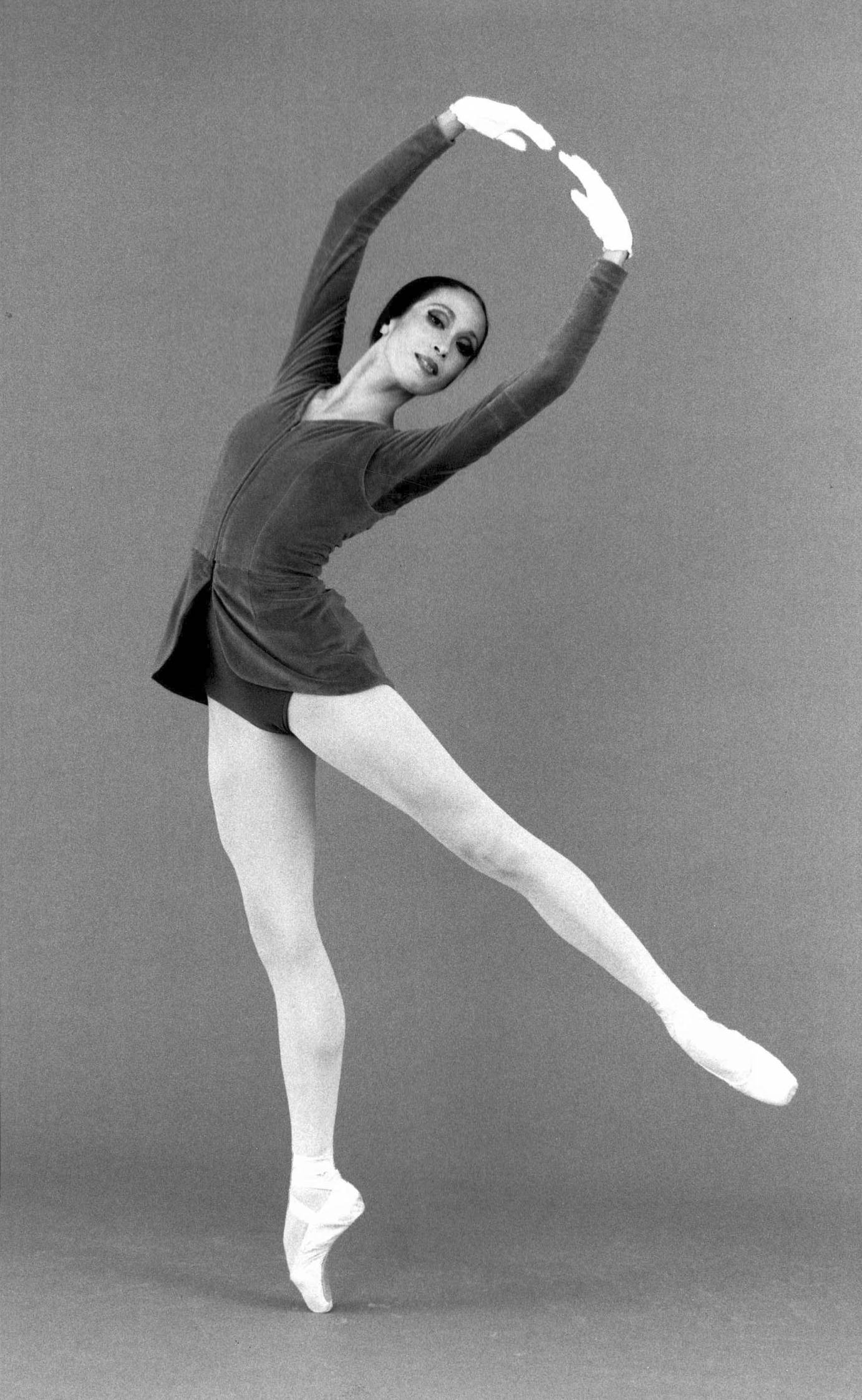 A DAY IN THE LIFE OF DANCE: Dance Theatre of Harlem's Virginia Johnson ...