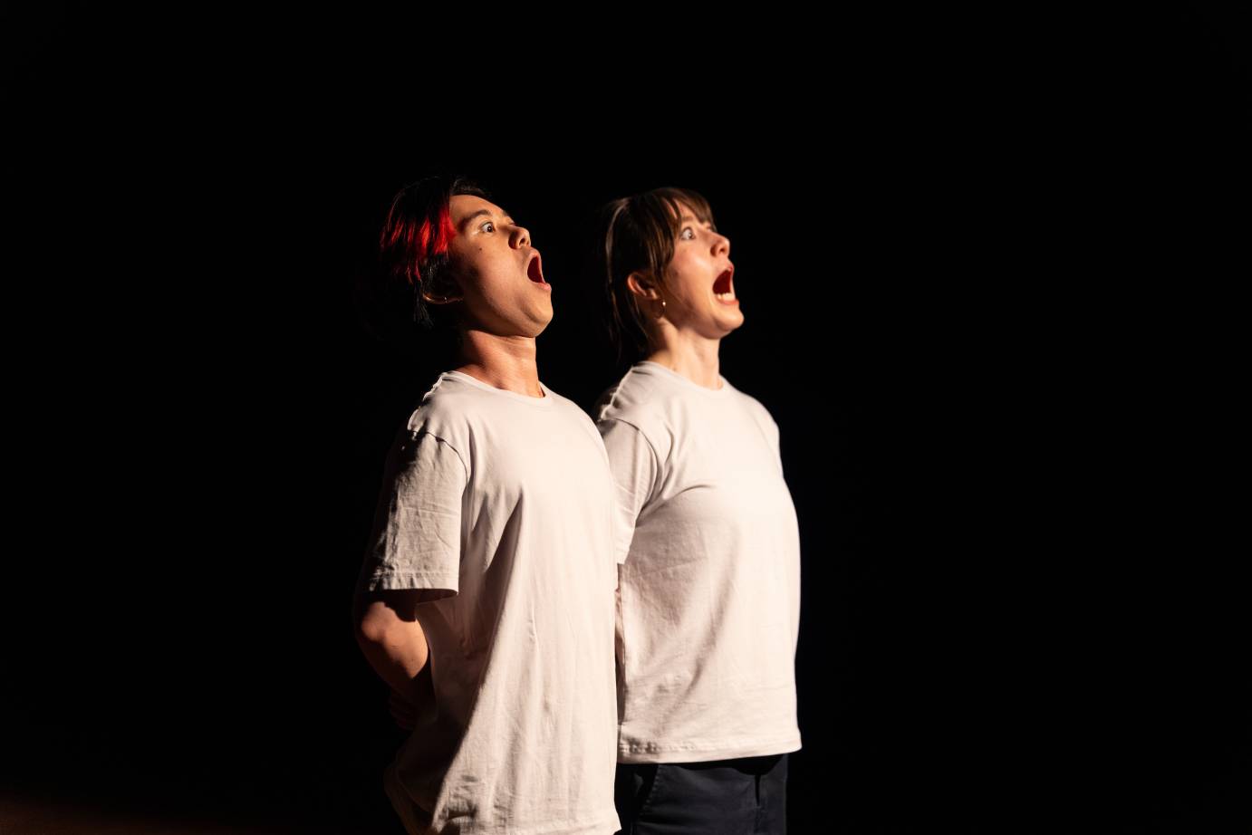 IMPRESSIONS: Winter in Brief, Part 2 | More from Live Artery, Under the ...